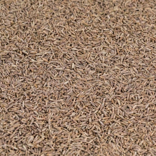 Cumin Seeds (25kg) – Bulk Nuts