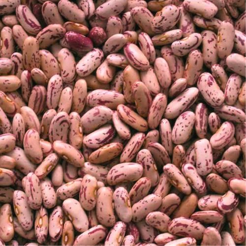 Rosecoco Beans (25kg) - Bulk Pack | Premium Quality | Shop Now – Bulk Nuts