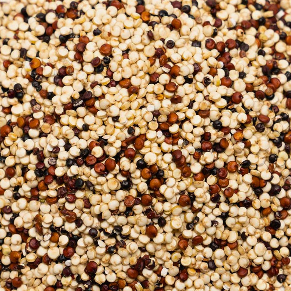Tri-Colour Quinoa (25kg) – Bulk Nuts