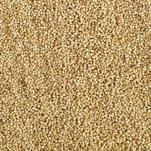 White Quinoa (25kg) - Bulk Pack | Premium Quality | Wholesale Price ...